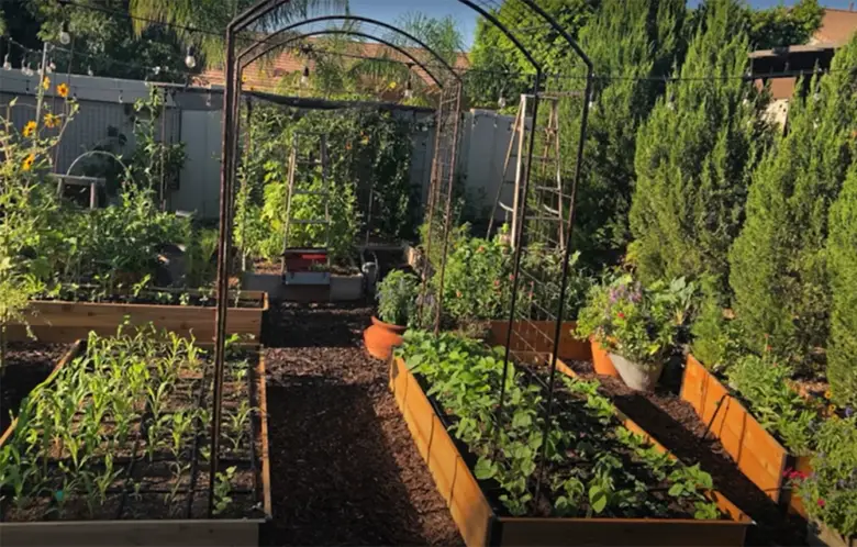 4 Steps To Make Garden Rows - GardenProfy