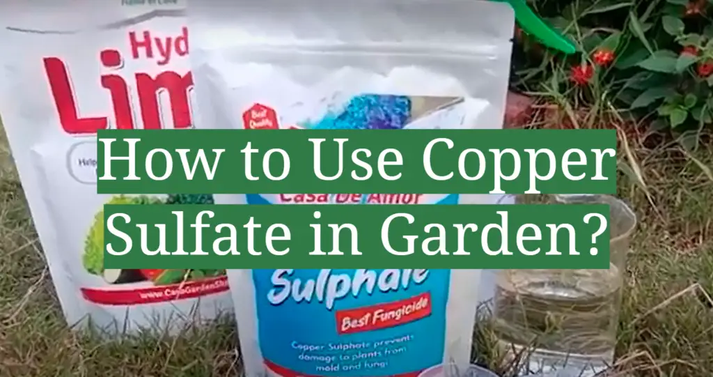 4 Steps to Use Copper Sulfate in Garden - GardenProfy