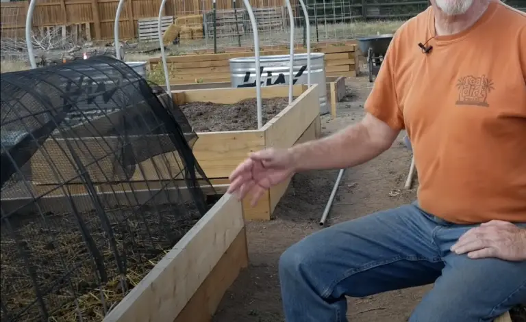 How to Make a Garden Netting Frame? - GardenProfy