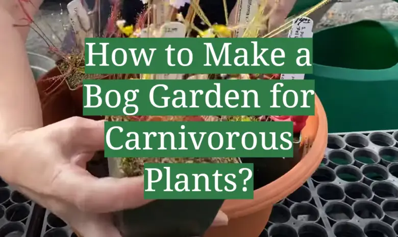 How to Make a Bog Garden for Carnivorous Plants? - GardenProfy