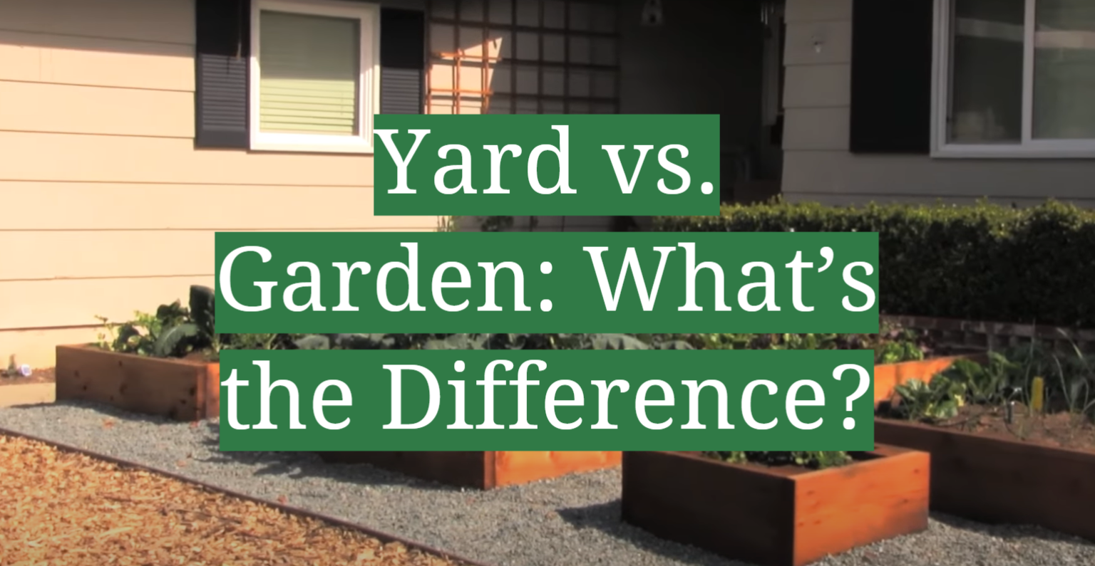 Yard vs. Garden: What’s the Difference? - GardenProfy