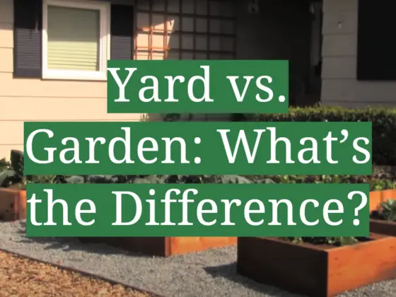 Lawn vs. Garden: What’s Better? - GardenProfy