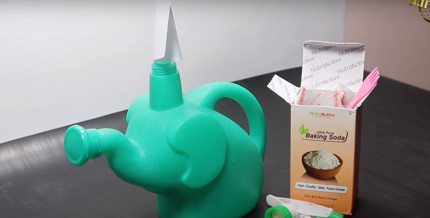 How to Get Rid of Weevils in Garden? - GardenProfy