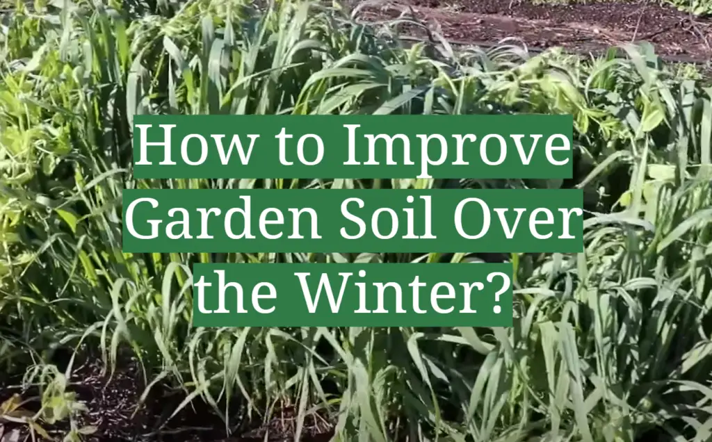 How to Improve Garden Soil Over the Winter? - GardenProfy