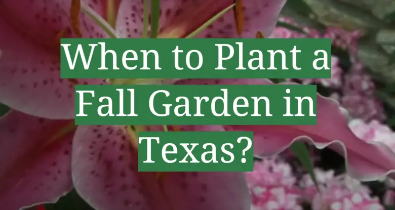 When to Plant a Fall Garden in Texas? - GardenProfy