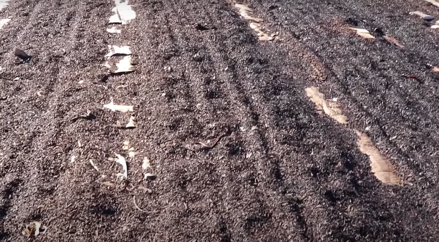 How to Improve Garden Soil Over the Winter? - GardenProfy