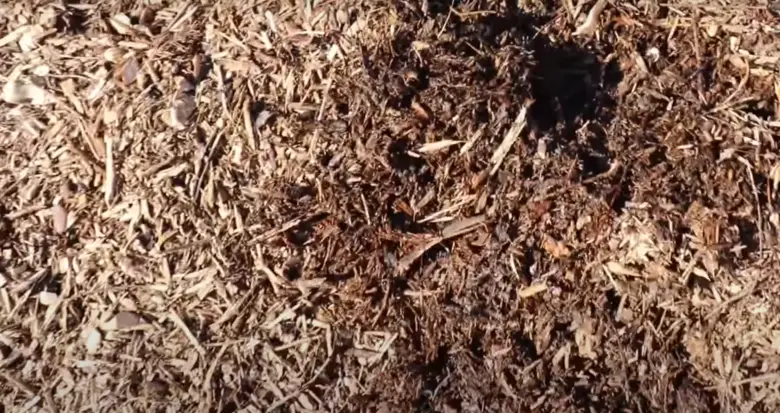 How to Improve Garden Soil Over the Winter? - GardenProfy