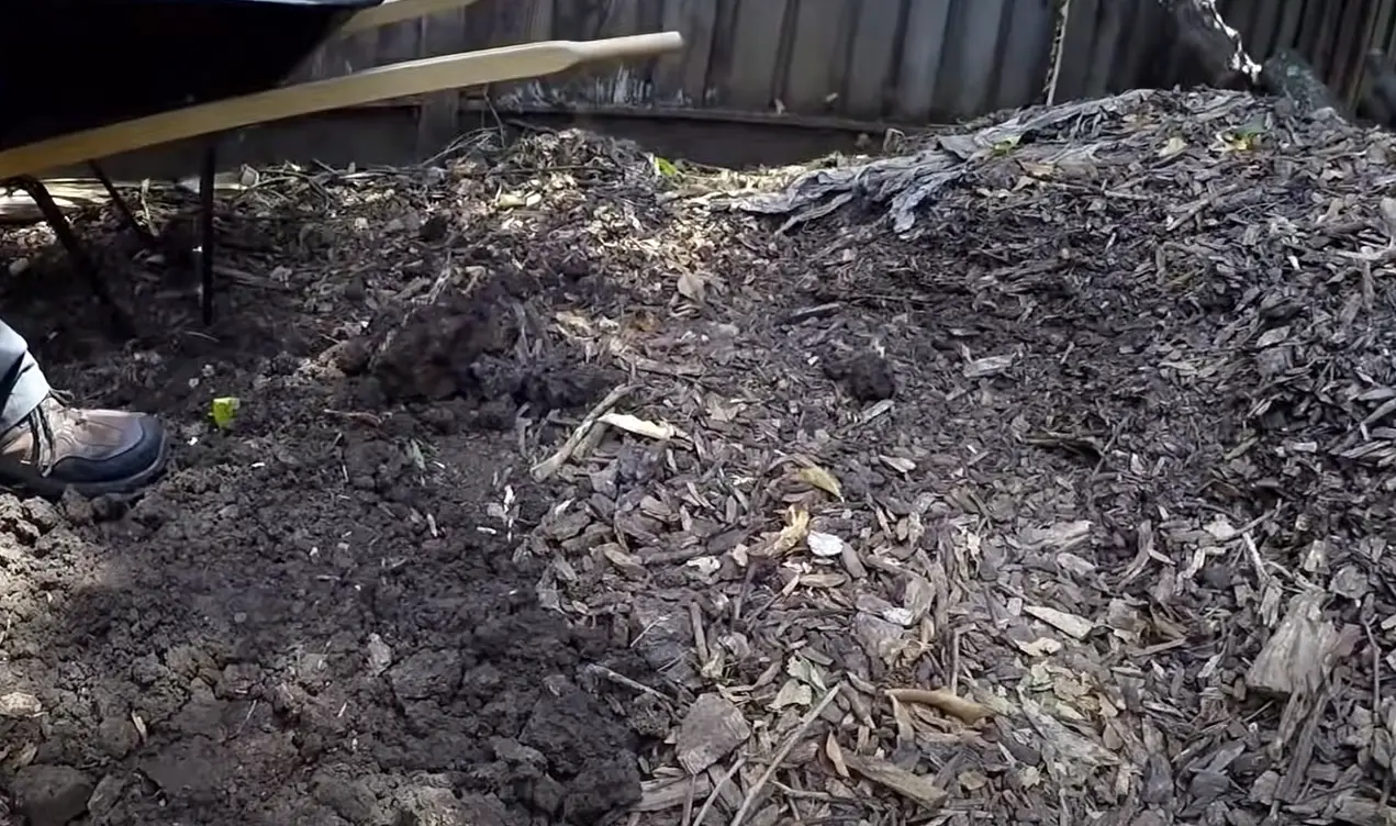 How to Improve Garden Soil Over the Winter? - GardenProfy