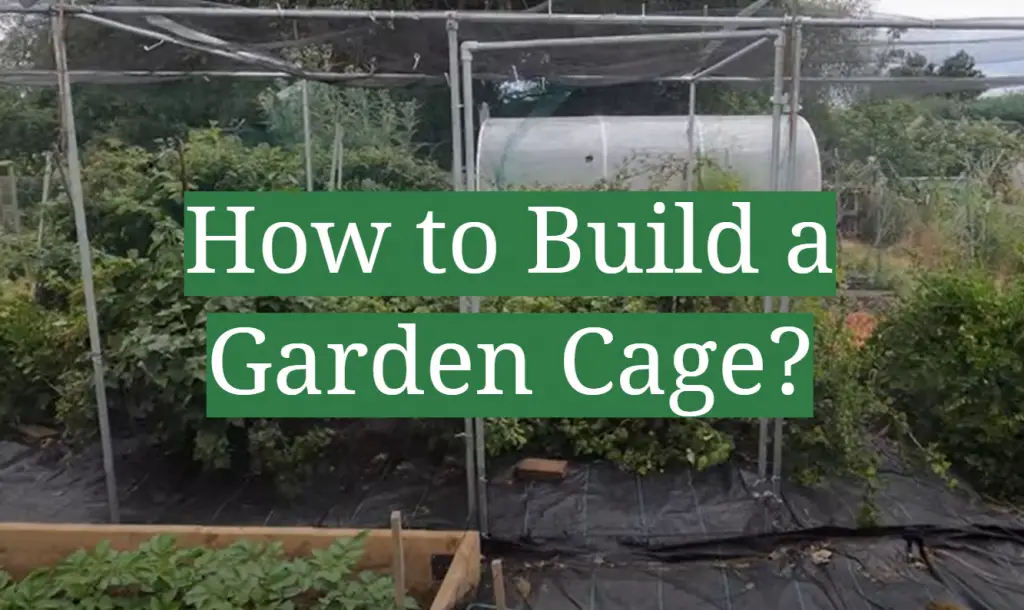 How to Build a Garden Cage? - GardenProfy