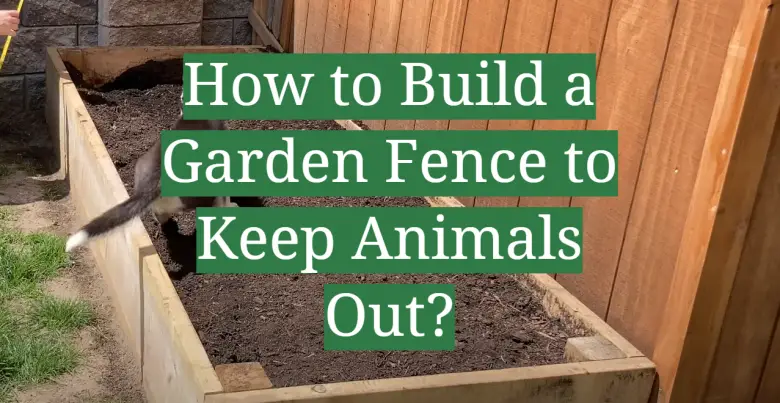 How to Build a Garden Fence to Keep Animals Out? - GardenProfy