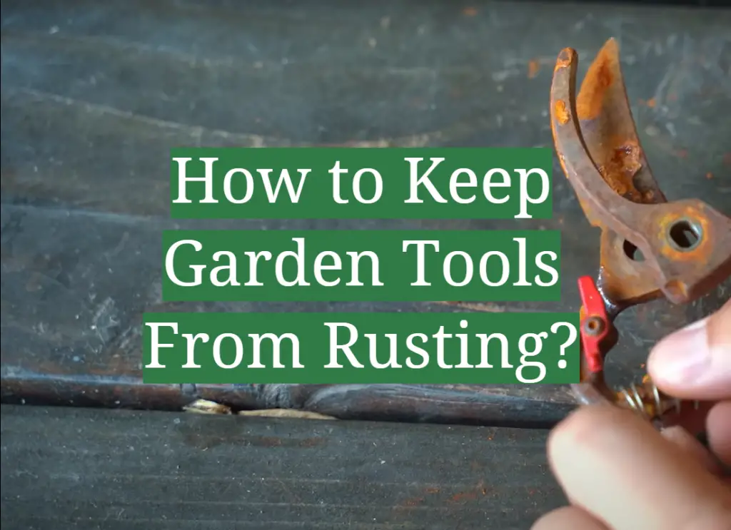 How to Keep Garden Tools From Rusting? - GardenProfy