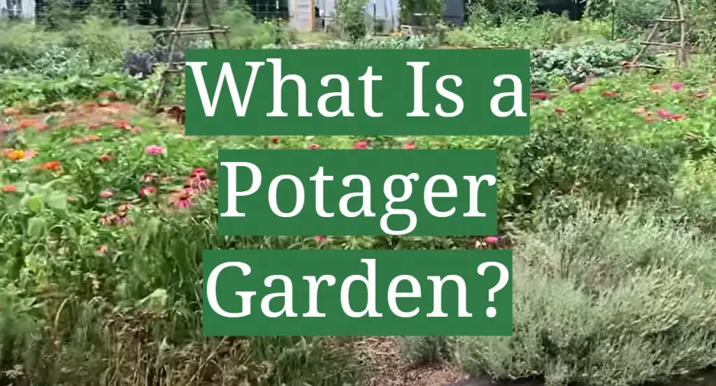 What Is a Potager Garden? - GardenProfy
