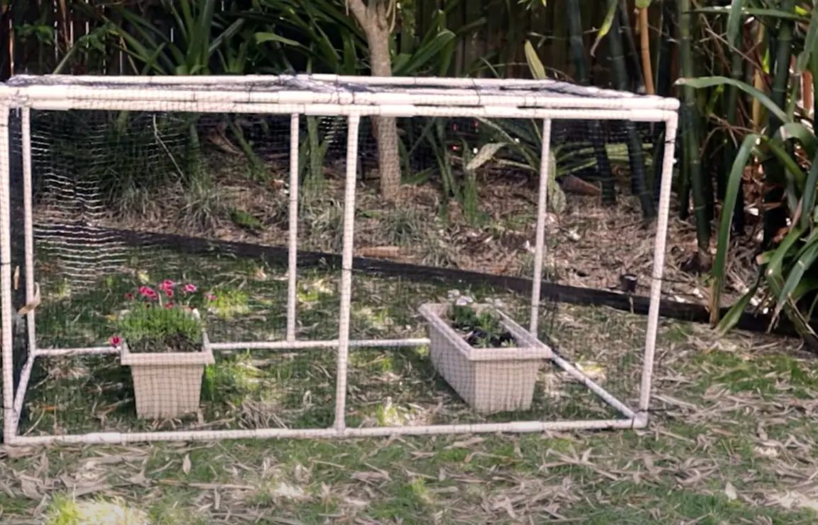 How to Build a Garden Cage? - GardenProfy