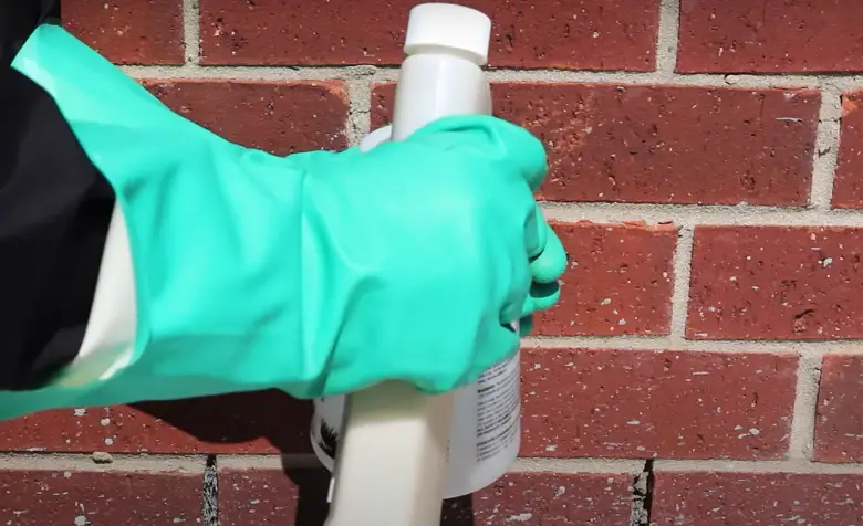 How to Get Rid of Pill Bugs in the Garden? - GardenProfy