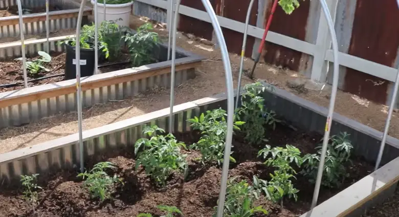 How to Make Garden Hoops? - GardenProfy