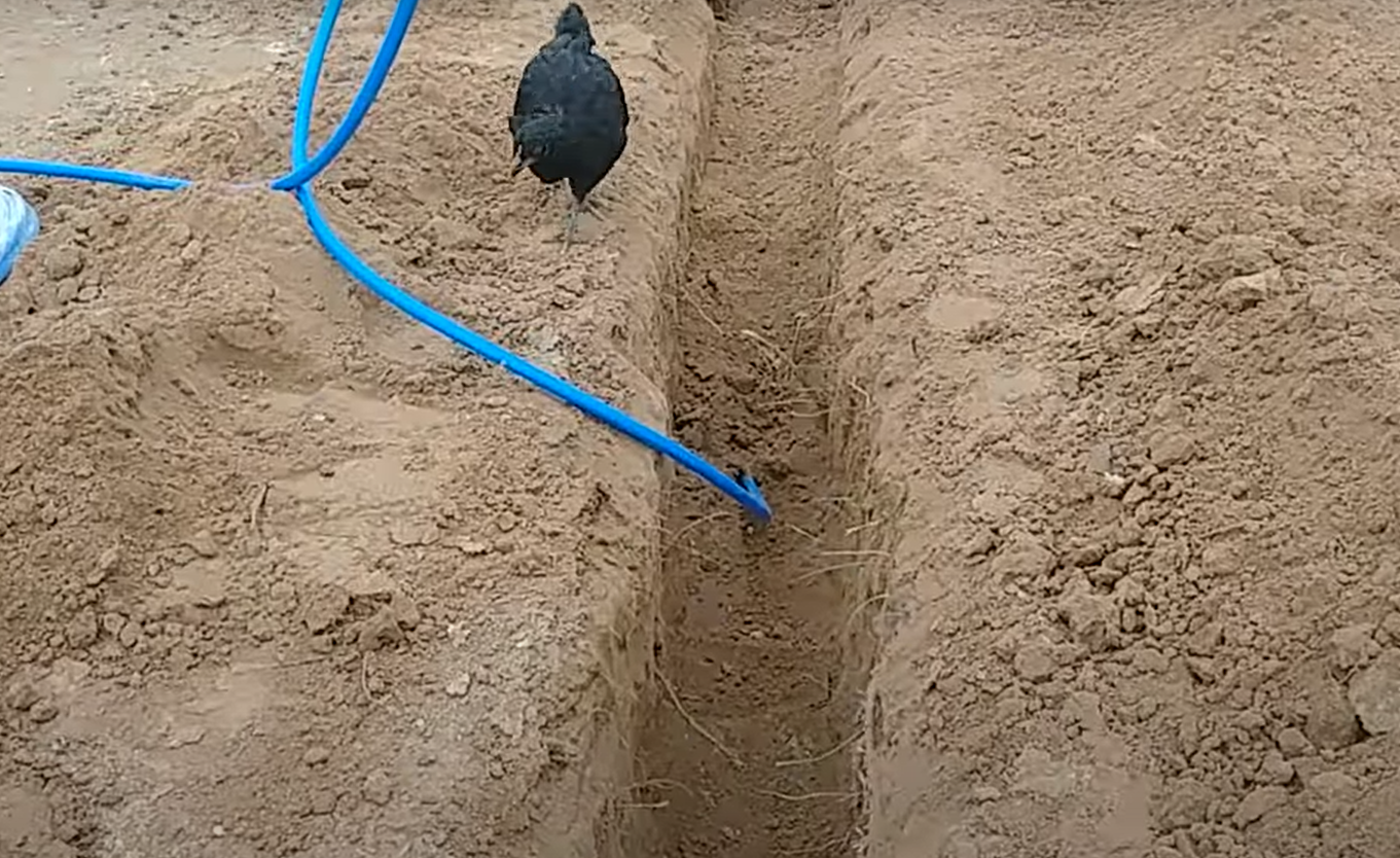 How Deep Can You Dig In Your Backyard? - GardenProfy