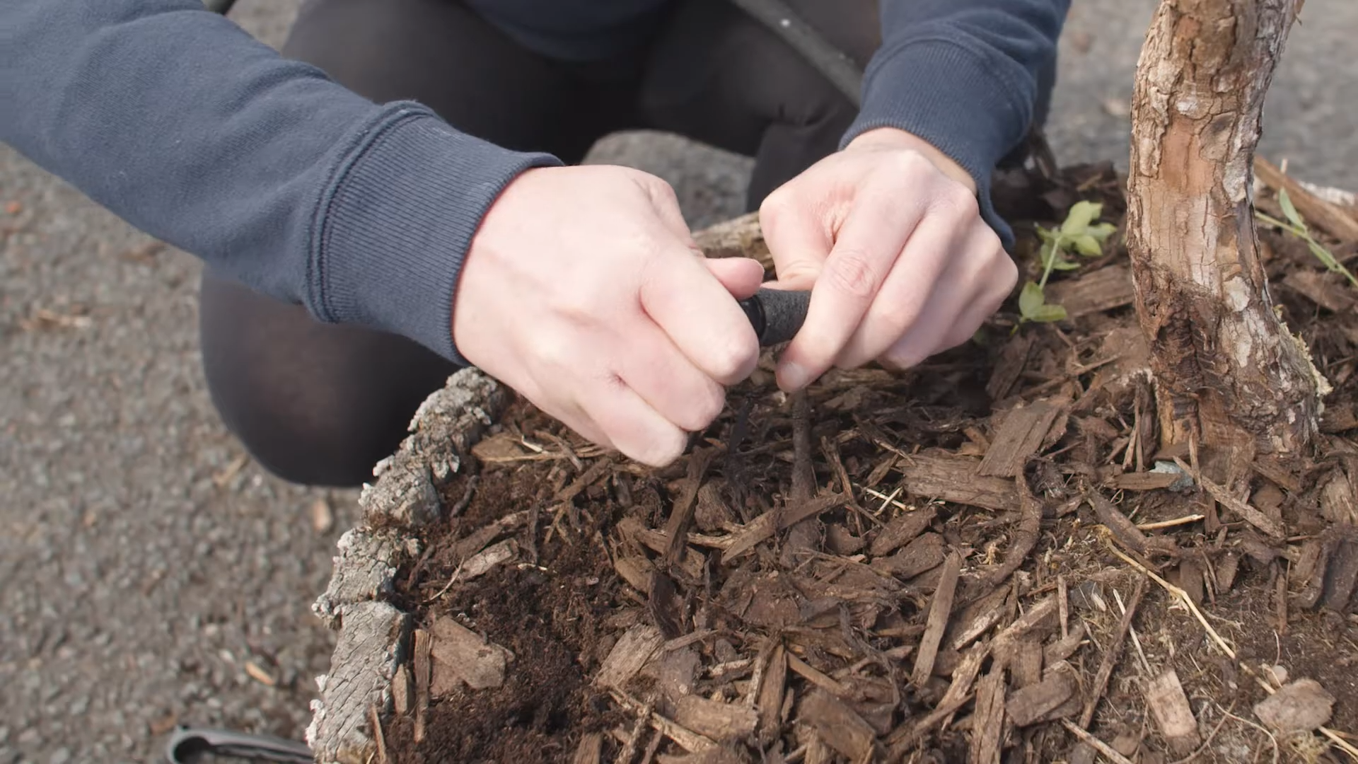 How Long to Run Soaker Hose for Trees? - GardenProfy