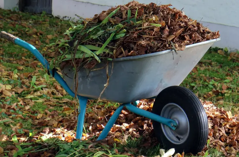 How Much Weight Can a Wheelbarrow Hold? - GardenProfy