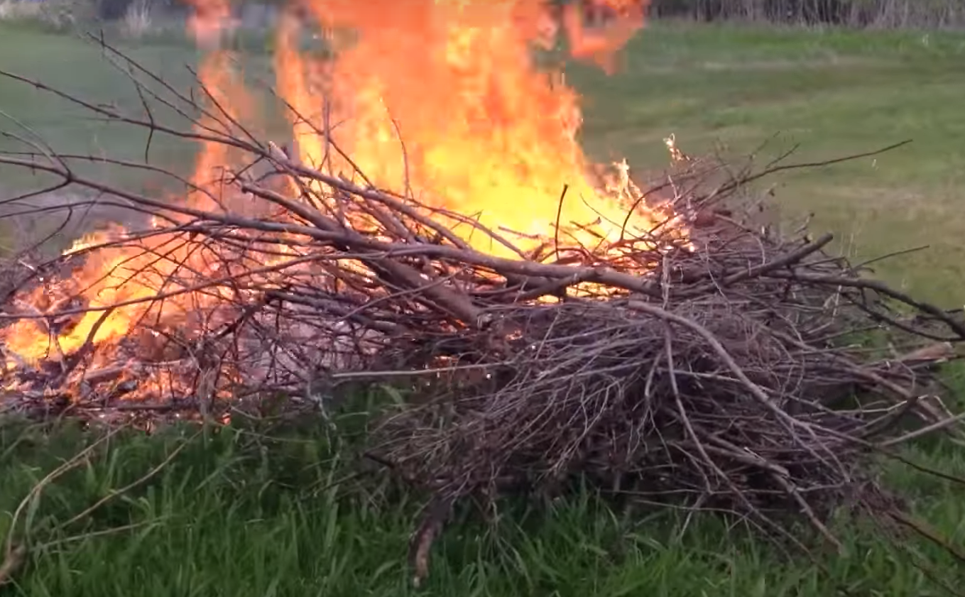 How to Burn Brush in Your Backyard? - GardenProfy