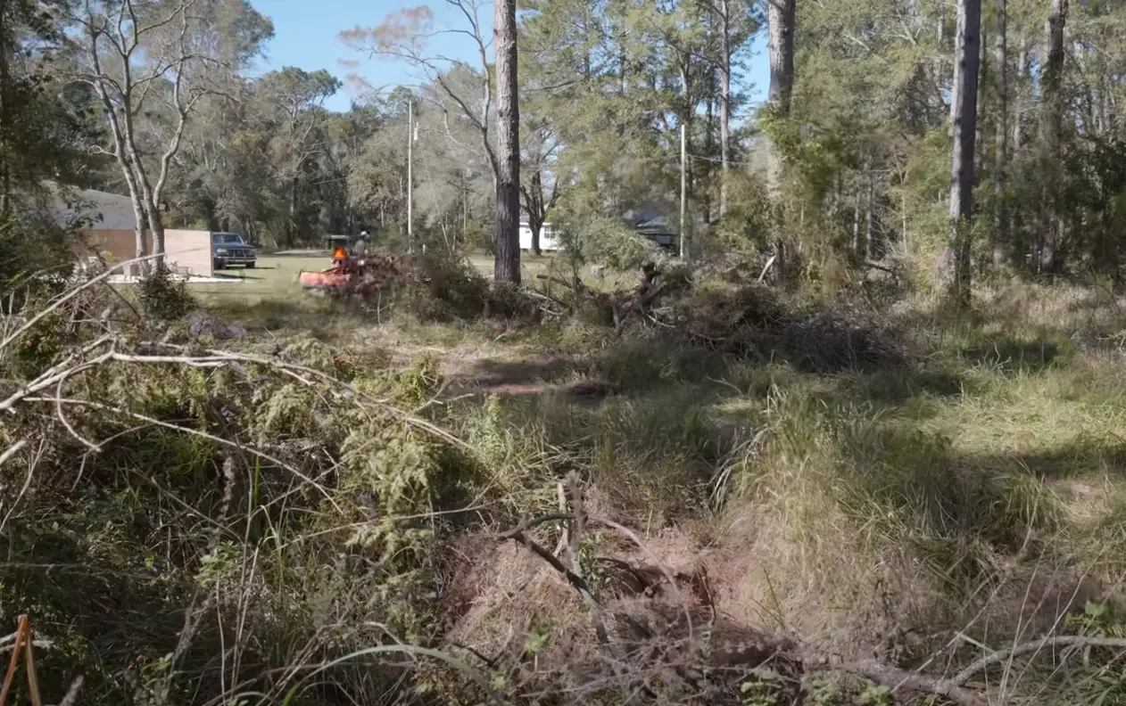 How to Clear a Wooded Backyard? - GardenProfy