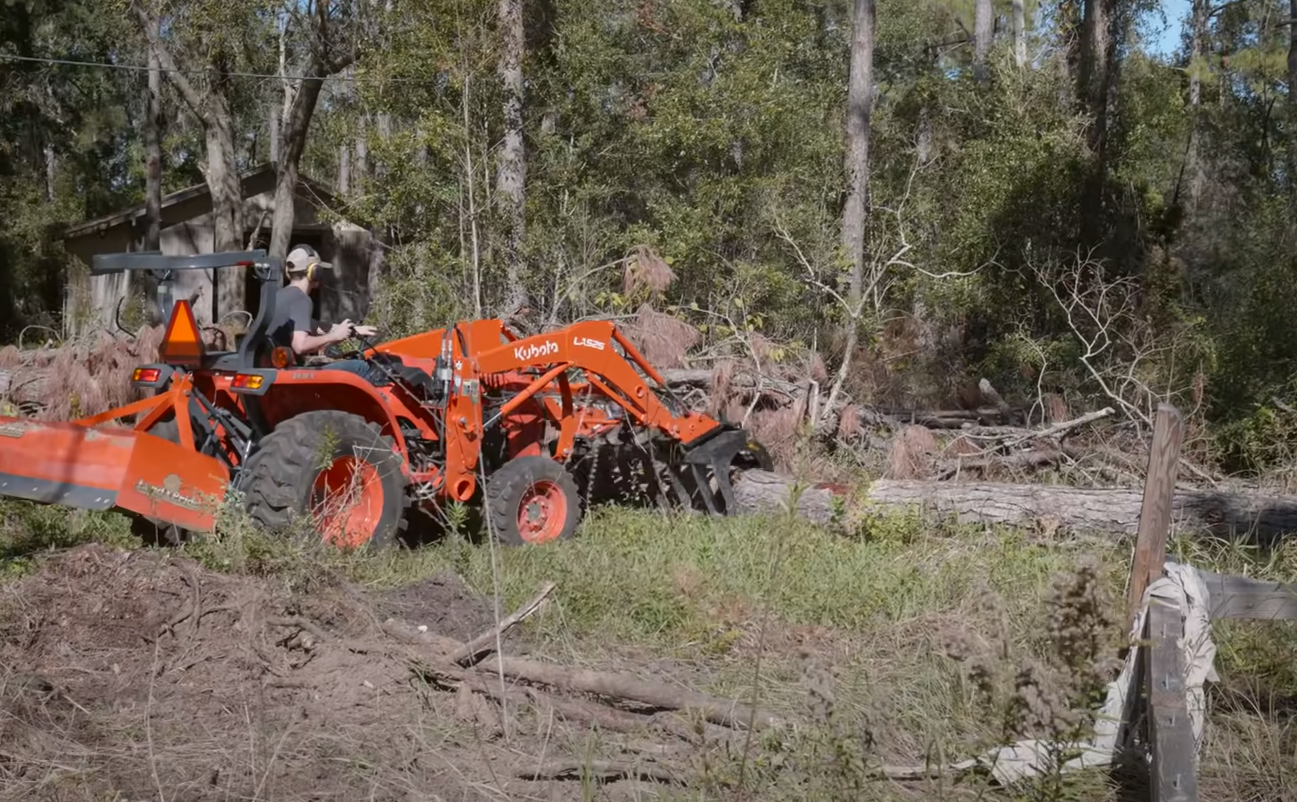 How to Clear a Wooded Backyard? - GardenProfy