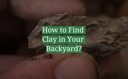How to Find Clay in Your Backyard? - GardenProfy