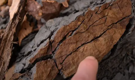 How to Find Clay in Your Backyard? - GardenProfy