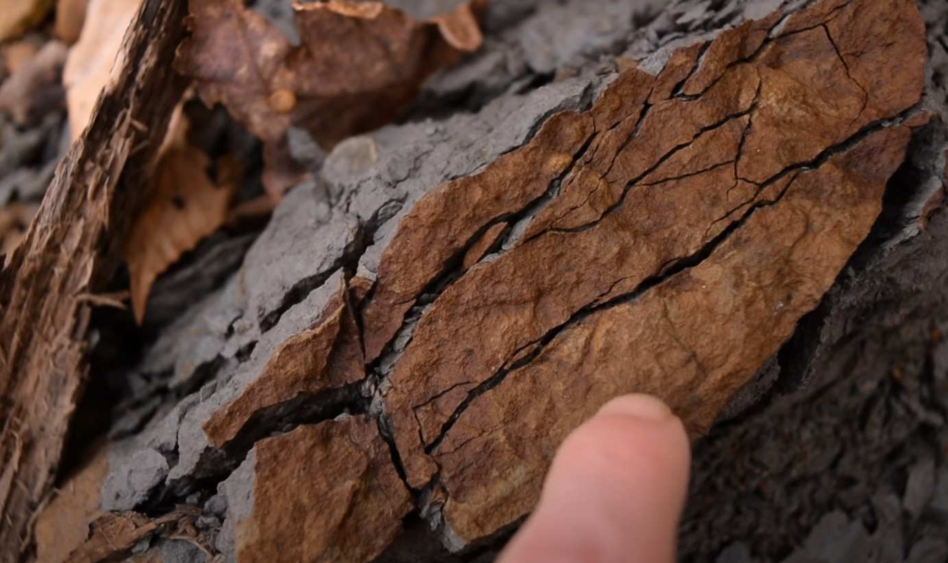 How to Find Clay in Your Backyard? - GardenProfy