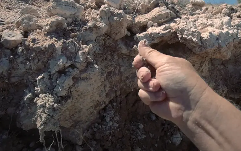 How to Find Clay in Your Backyard? - GardenProfy