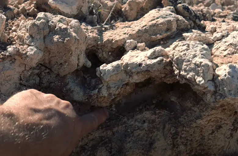 How to Find Clay in Your Backyard? - GardenProfy