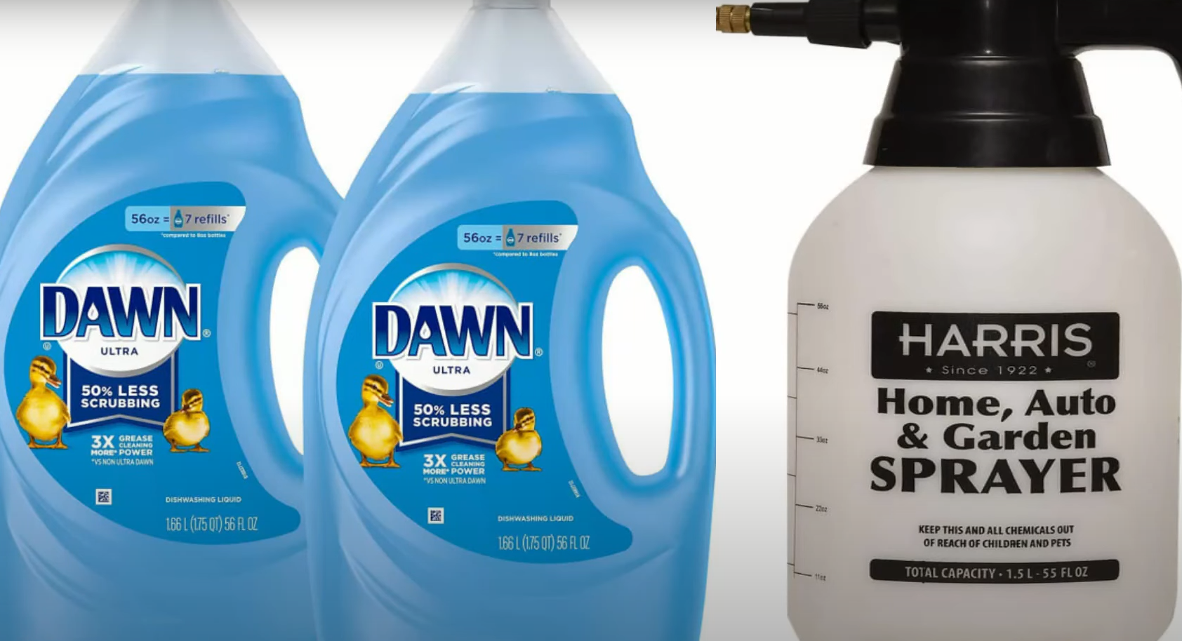 How to Get Rid of Stink Bugs in the Garden? - GardenProfy