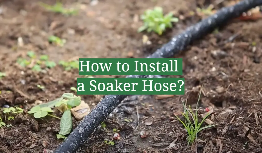 How to Install a Soaker Hose? - GardenProfy