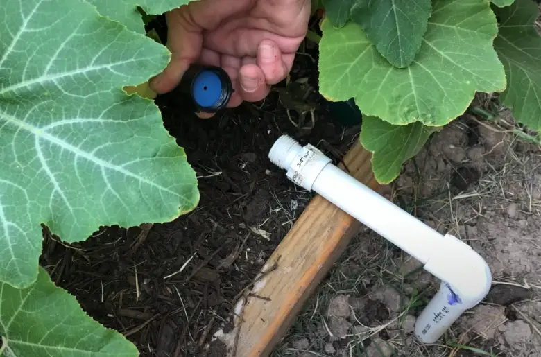 How to Install a Soaker Hose? - GardenProfy