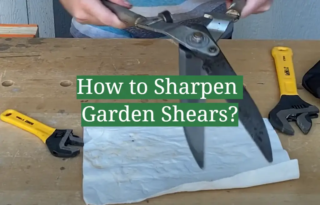How to Sharpen Garden Shears? - GardenProfy