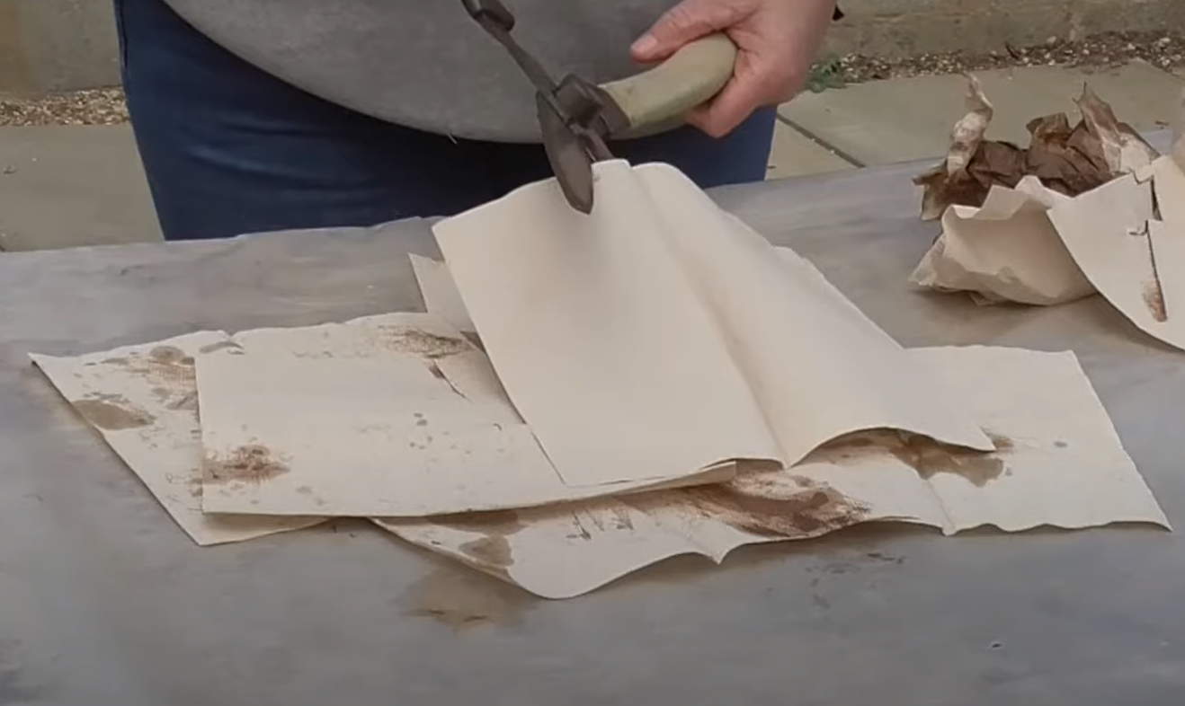 How to Sharpen Garden Shears? - GardenProfy