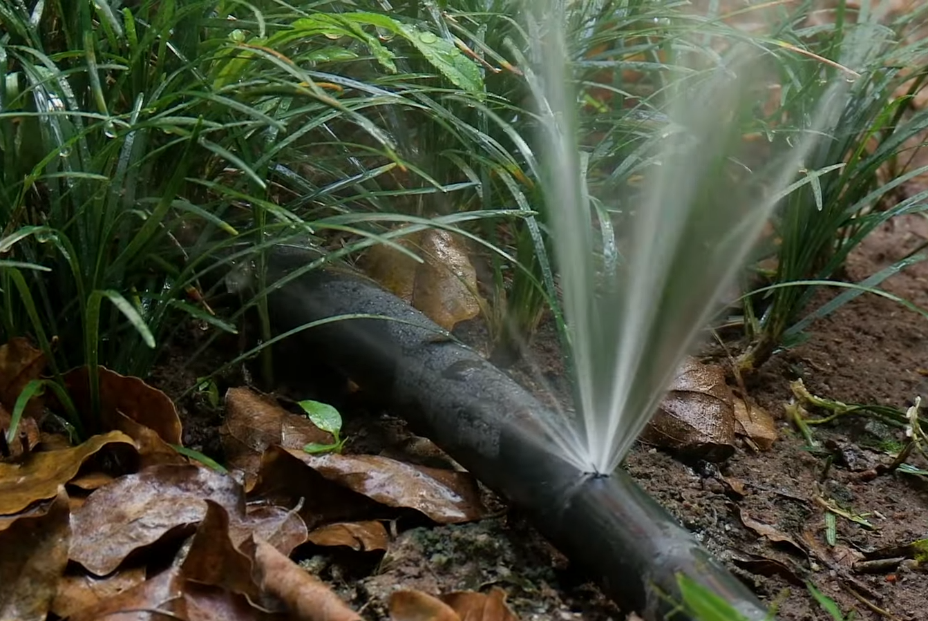 Soaker Hose vs. Sprinkler: Which is Better? - GardenProfy
