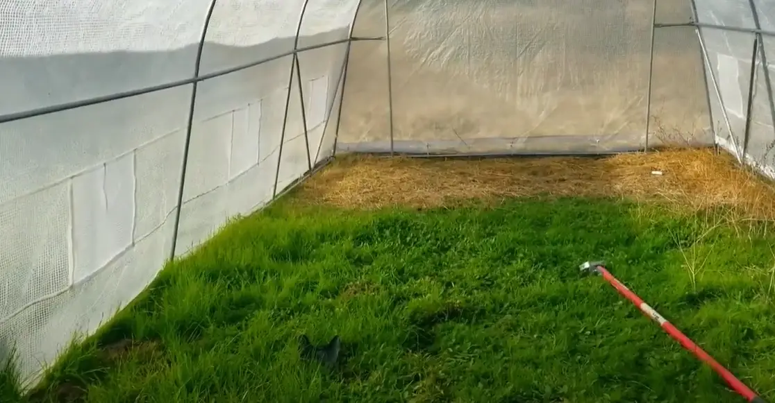 How to Keep Gophers Out of the Garden? - GardenProfy