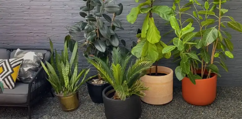 How to Arrange Garden Pots? - GardenProfy