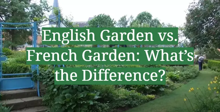 English Garden vs. French Garden: What’s the Difference? - GardenProfy