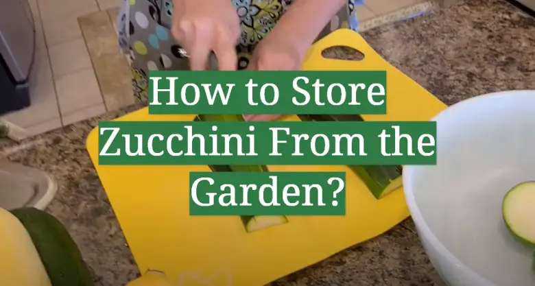 How to Store Zucchini From the Garden? - GardenProfy