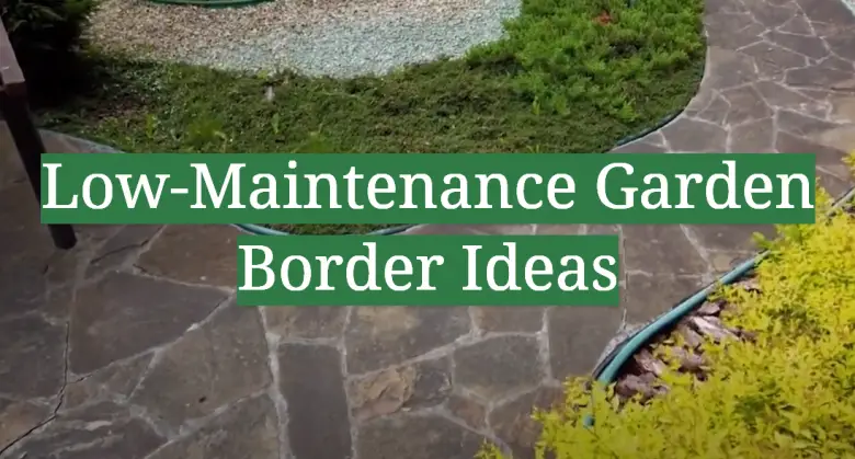 Low-Maintenance Garden Border Ideas - GardenProfy