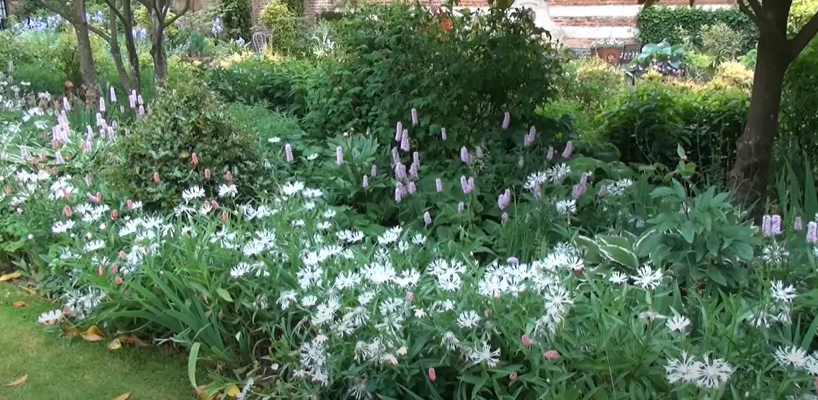 English Garden vs. French Garden: What’s the Difference? - GardenProfy