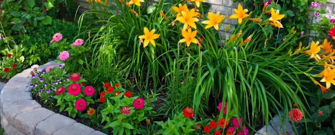 Low-Maintenance Garden Border Ideas - GardenProfy