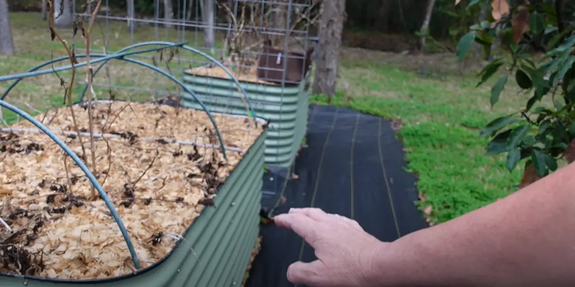 Birdies vs. Vego Raised Garden Beds: Which is Better? - GardenProfy