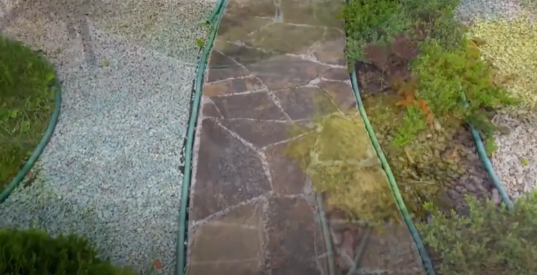 Low-Maintenance Garden Border Ideas - GardenProfy