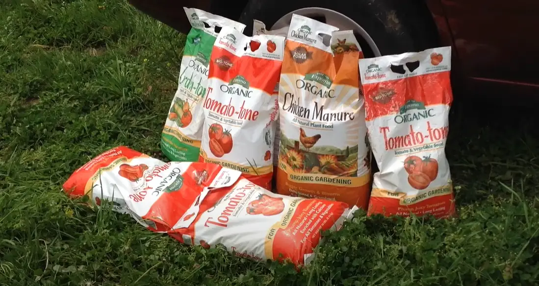 Tomato Tone vs. Garden Tone: What’s the Difference? - GardenProfy