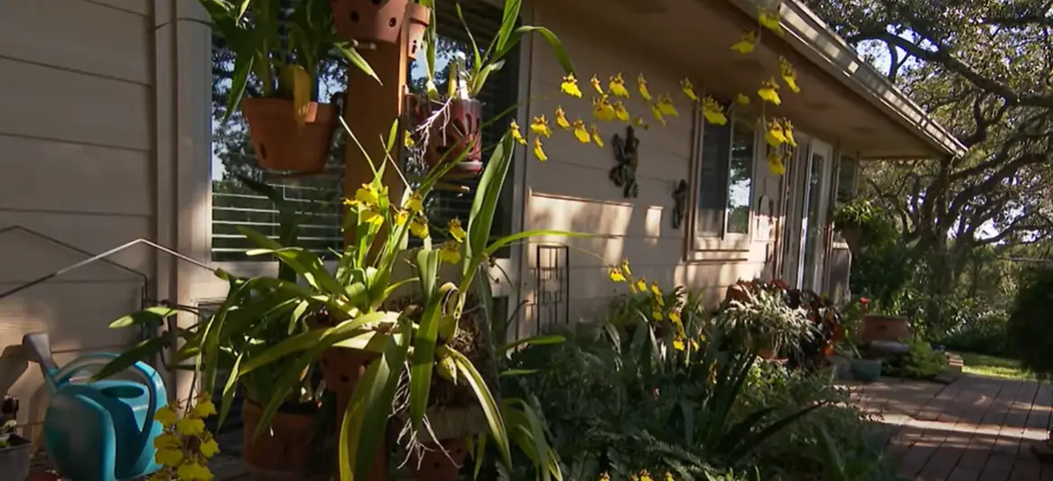 Enclosed Garden Ideas - GardenProfy