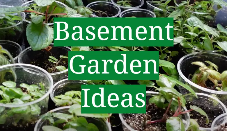 Basement Garden Ideas - GardenProfy