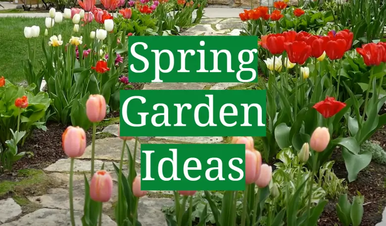 Spring Garden Ideas - GardenProfy
