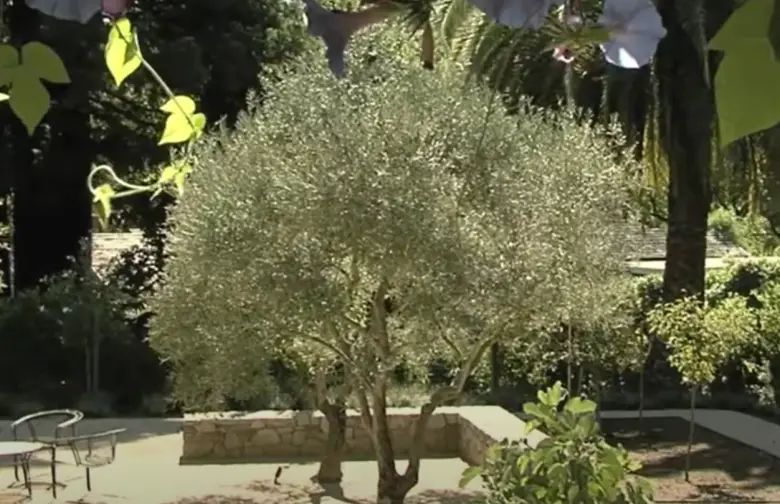 Rustic Italian Garden Ideas - GardenProfy